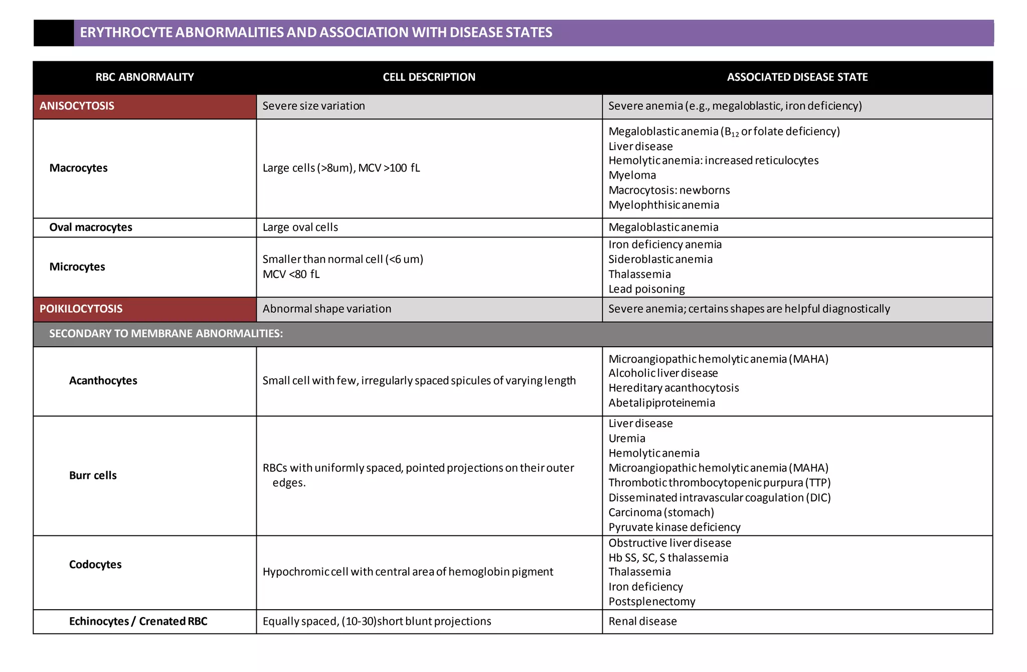 RBC Abnormalities | DOCX