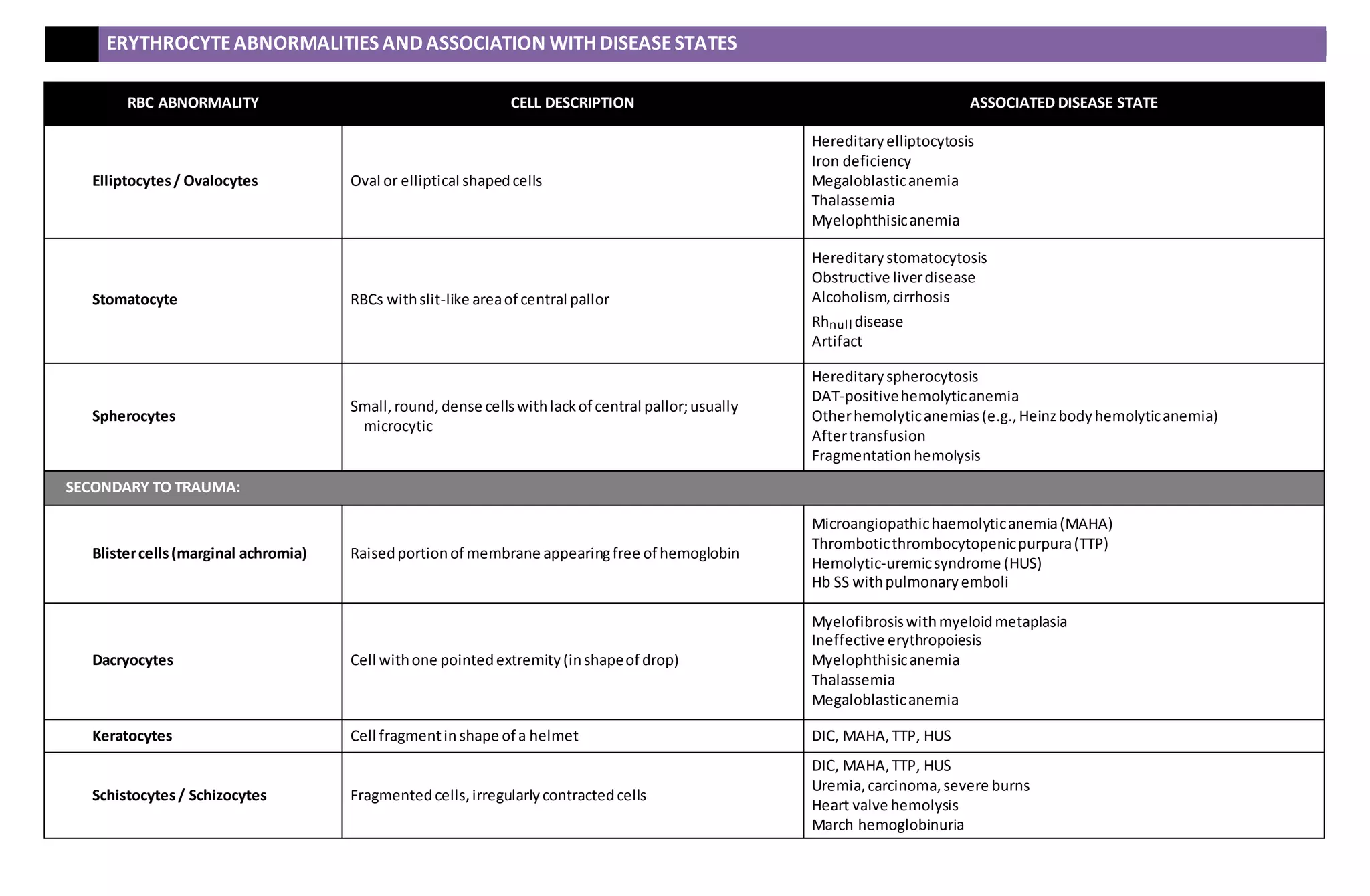 RBC Abnormalities | DOCX