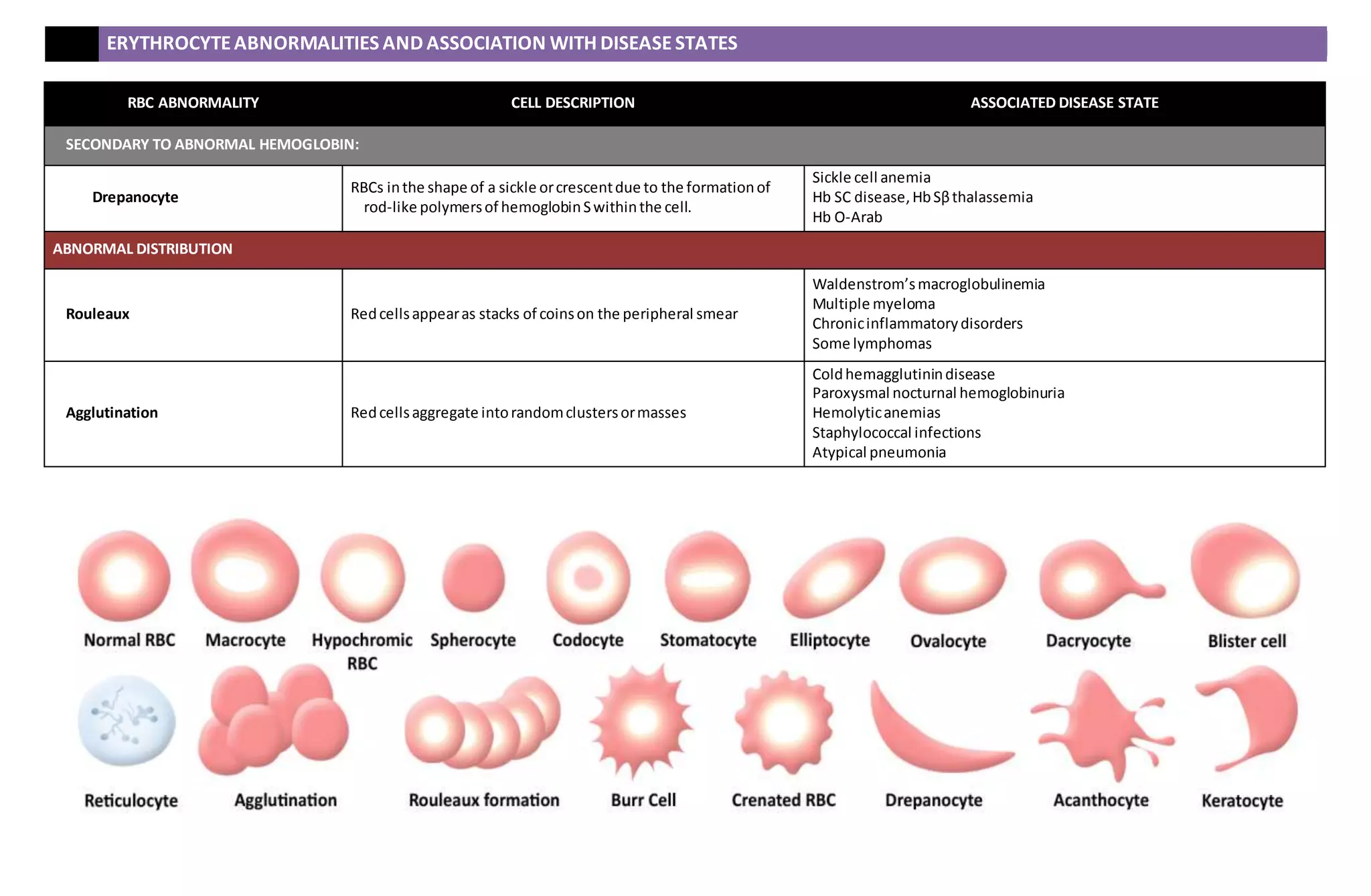 RBC Abnormalities | DOCX