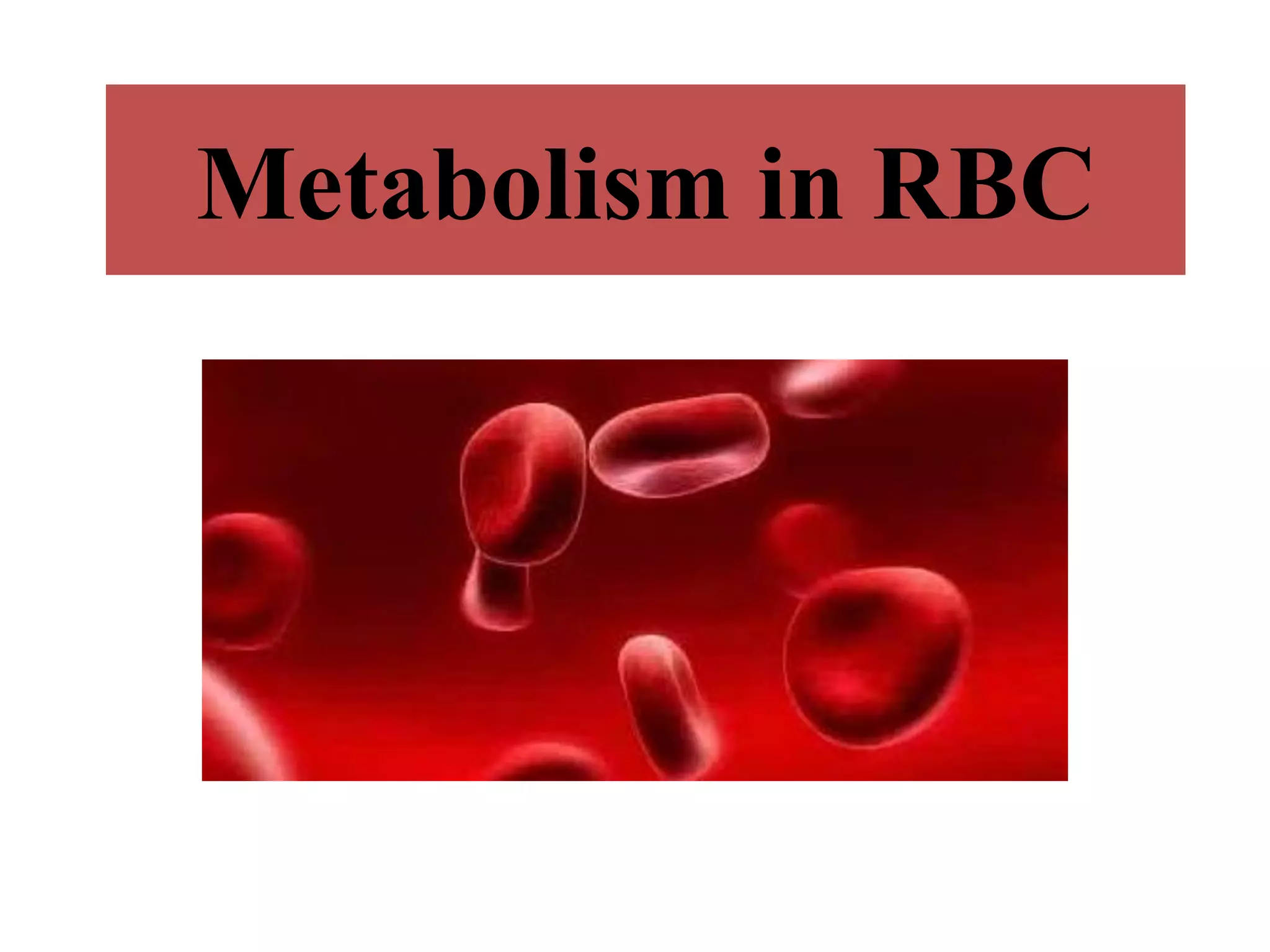Rbc and wbc metabolism | PPT