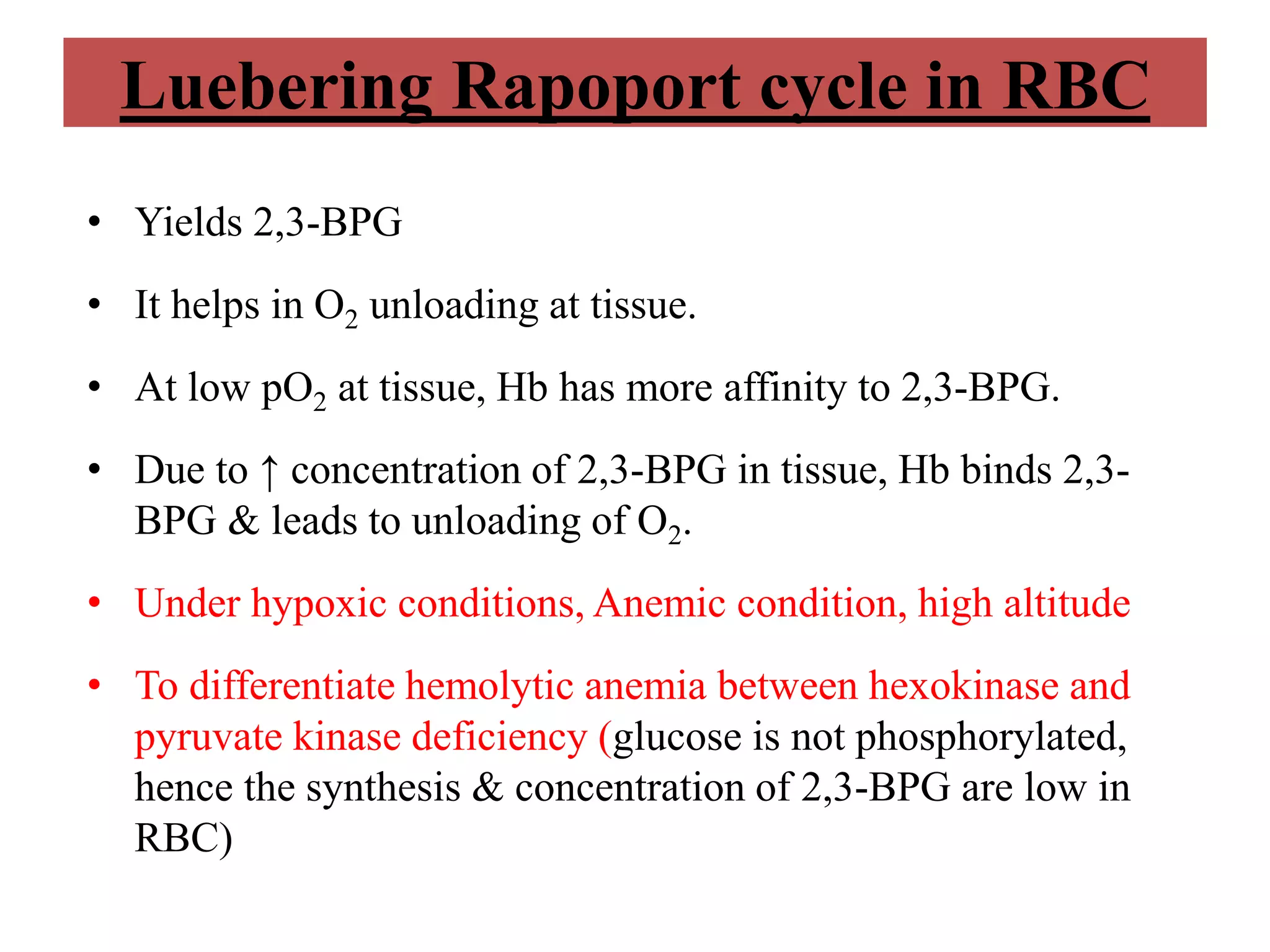 Rbc and wbc metabolism | PPT