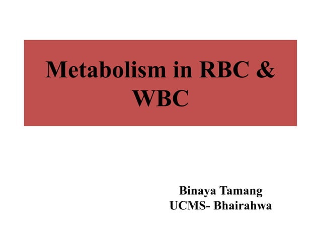 Rbc and wbc metabolism | PPT