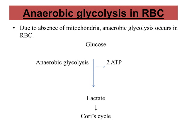 Rbc and wbc metabolism | PPT