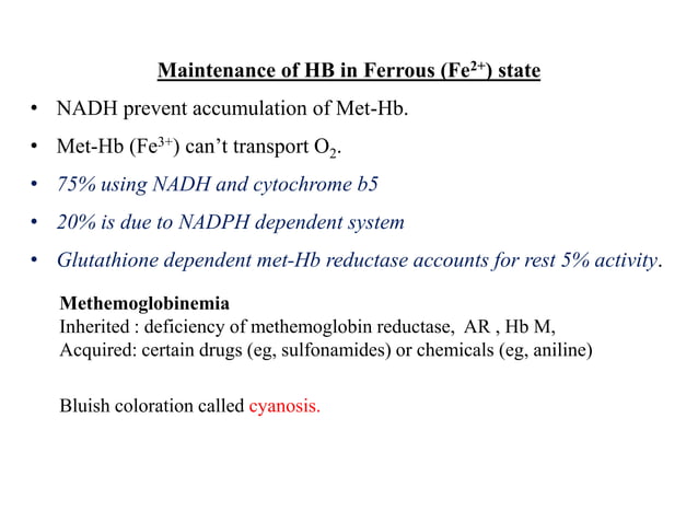 Rbc and wbc metabolism | PPT