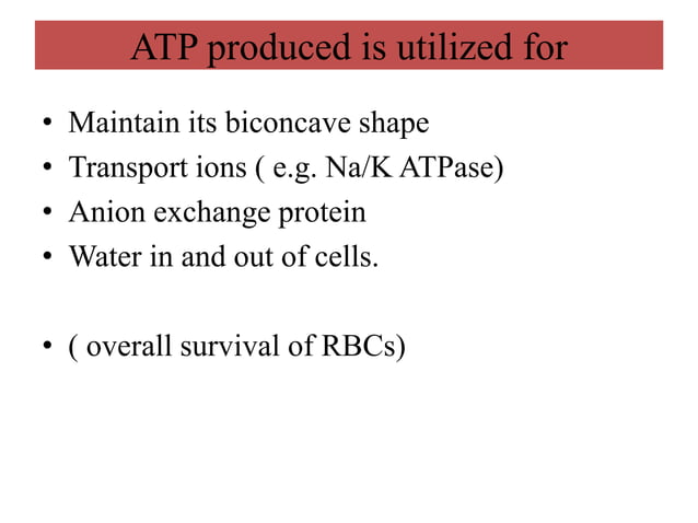 Rbc and wbc metabolism | PPT