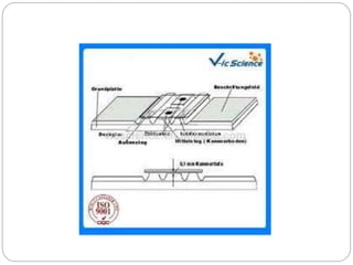 rbccount-Dr.ANINDITA SAHA 09876543210.PDF