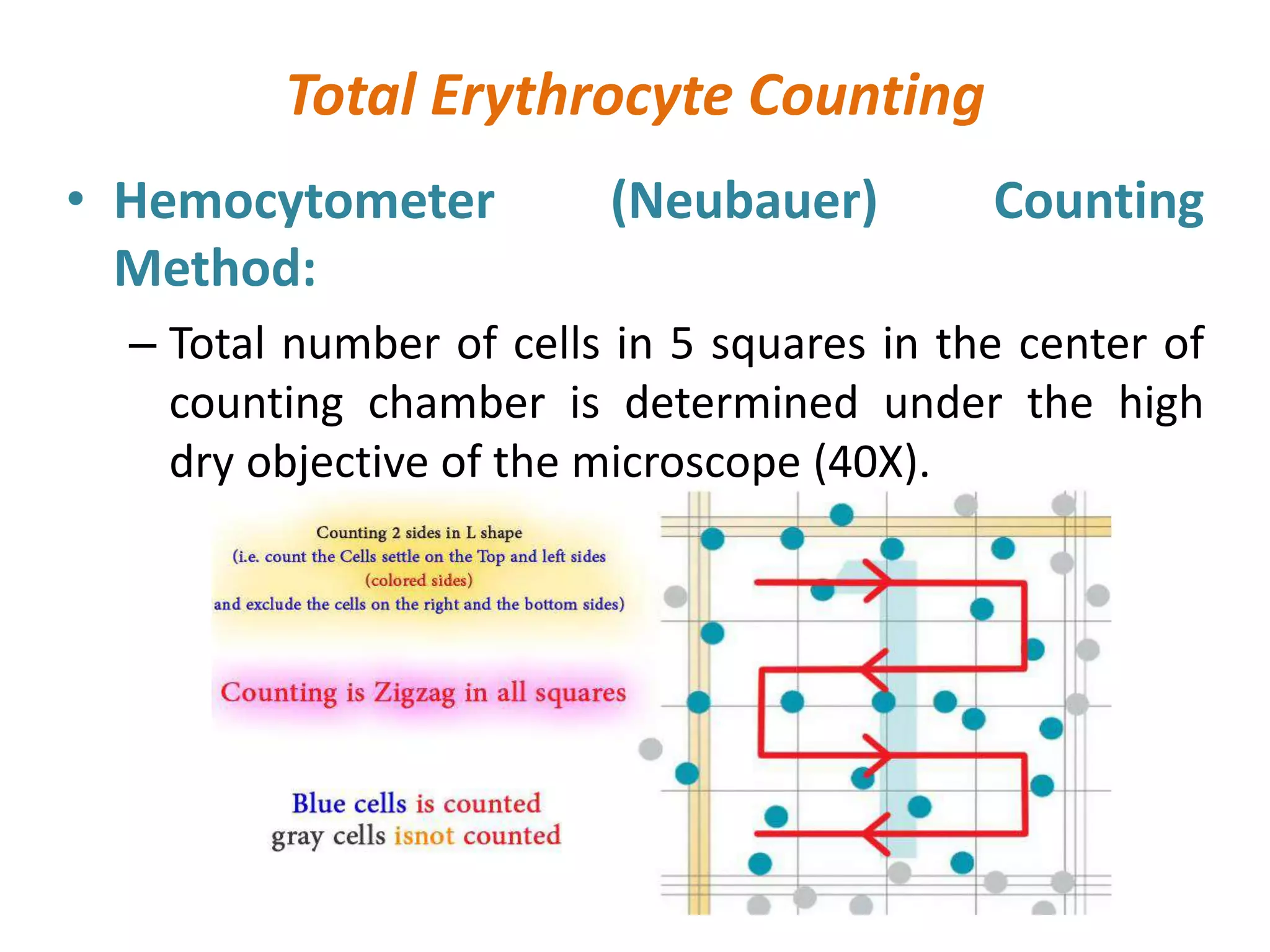 RBC count and WBC count | PPTX | Blood Disorders | Diseases and Conditions