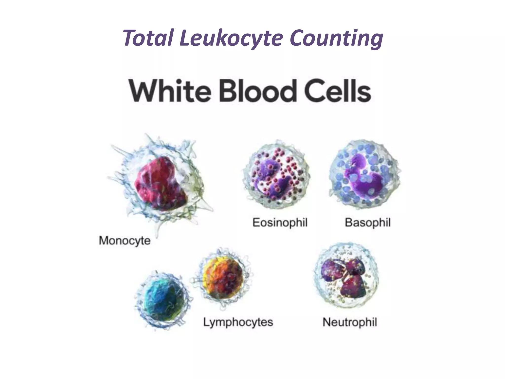 RBC count and WBC count | PPTX