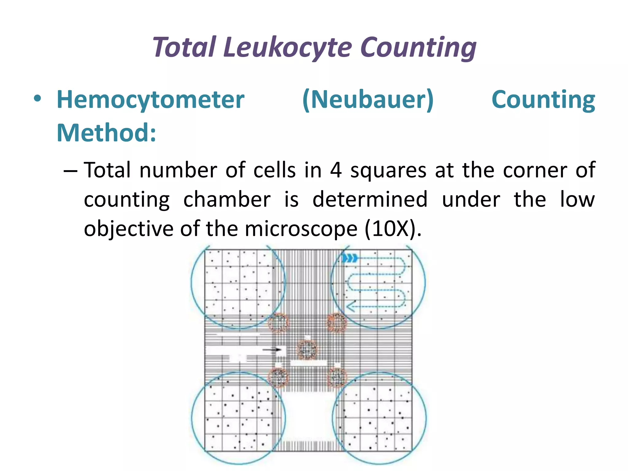 RBC count and WBC count | PPTX