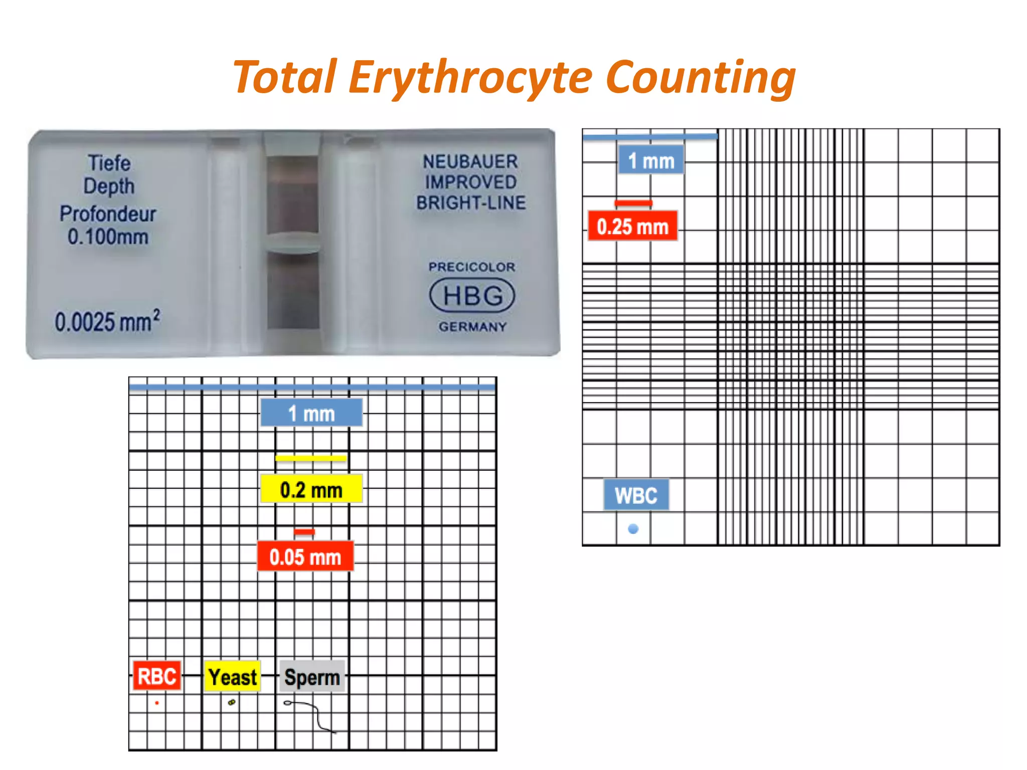RBC count and WBC count | PPTX