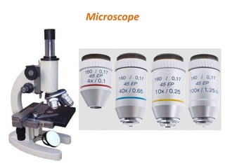 RBC count and WBC count | PPTX