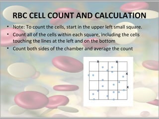 Rbc counting unopette | PPT