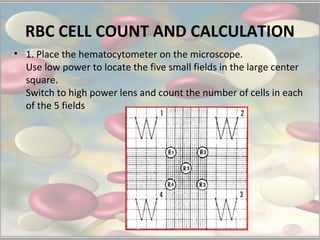 Rbc counting unopette | PPT