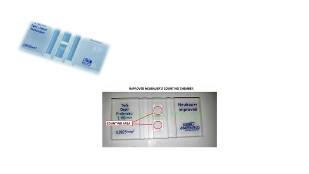 RBC COUNT USING HEMOCYTOMETER.pptx presenting by dr Sangeeta swat ...