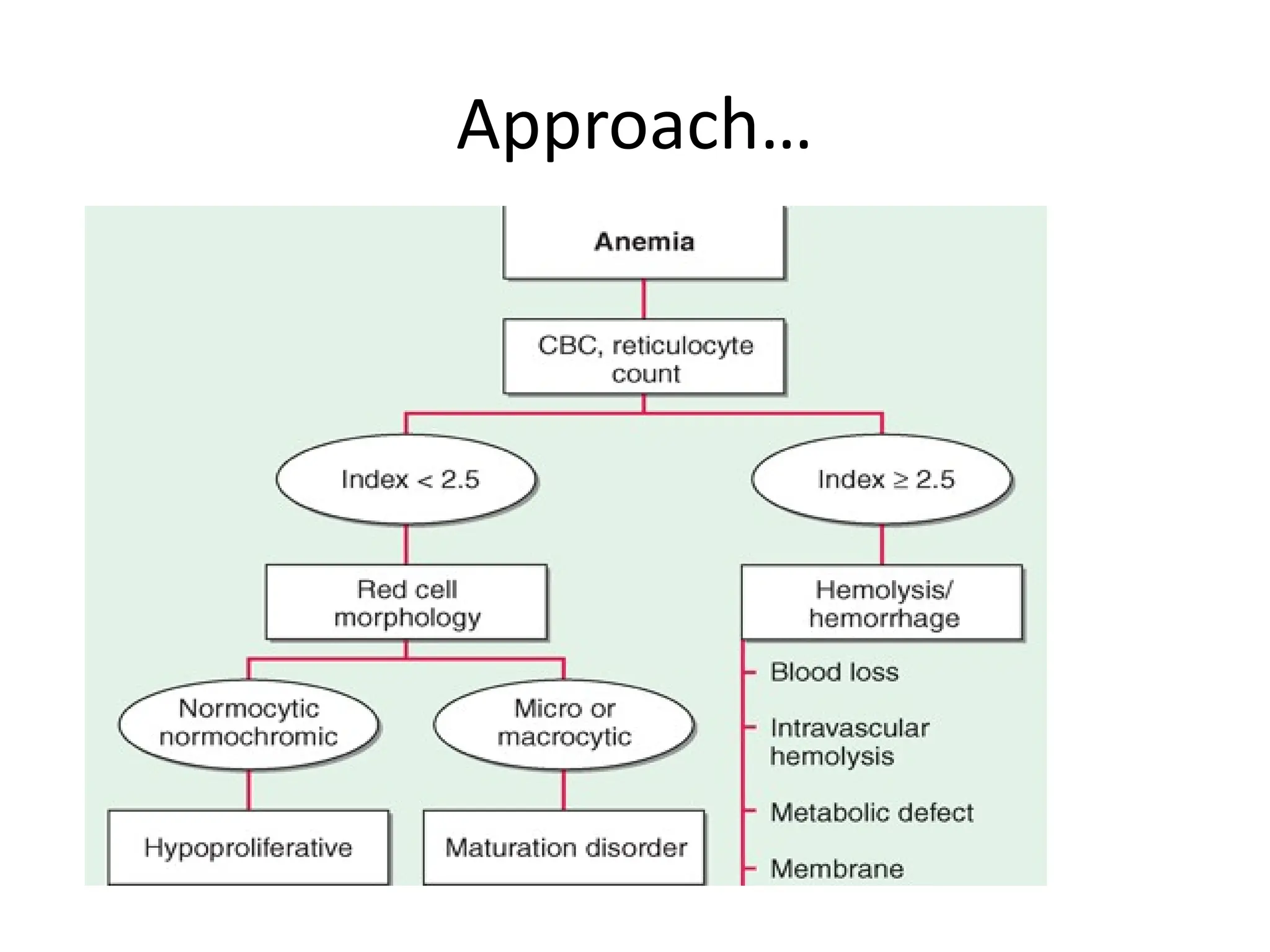 Approach to RBC disorders, anemia microcytic | PPT