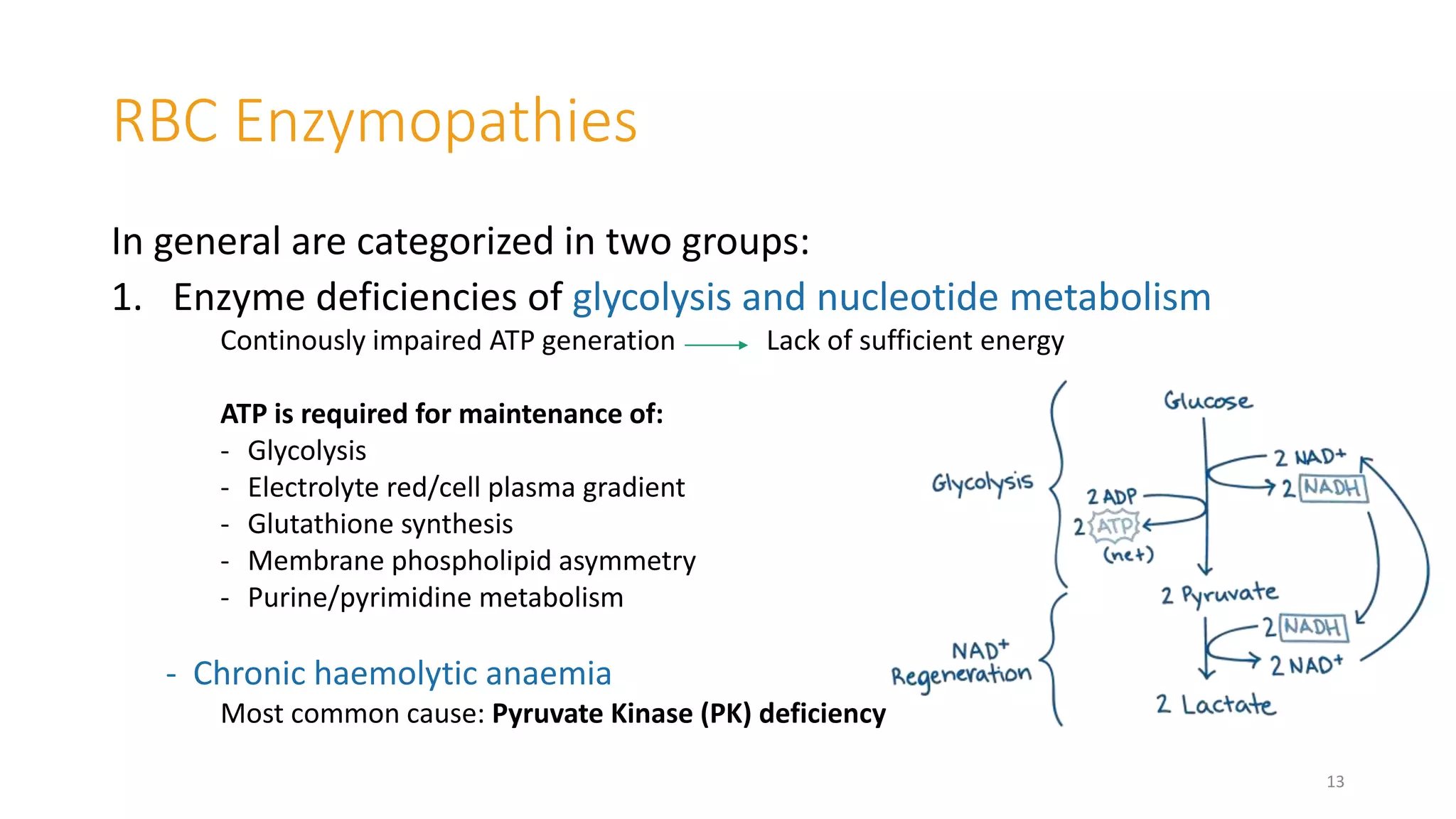 Metabolism of RBC and RBC Enzymopathies | PPTX