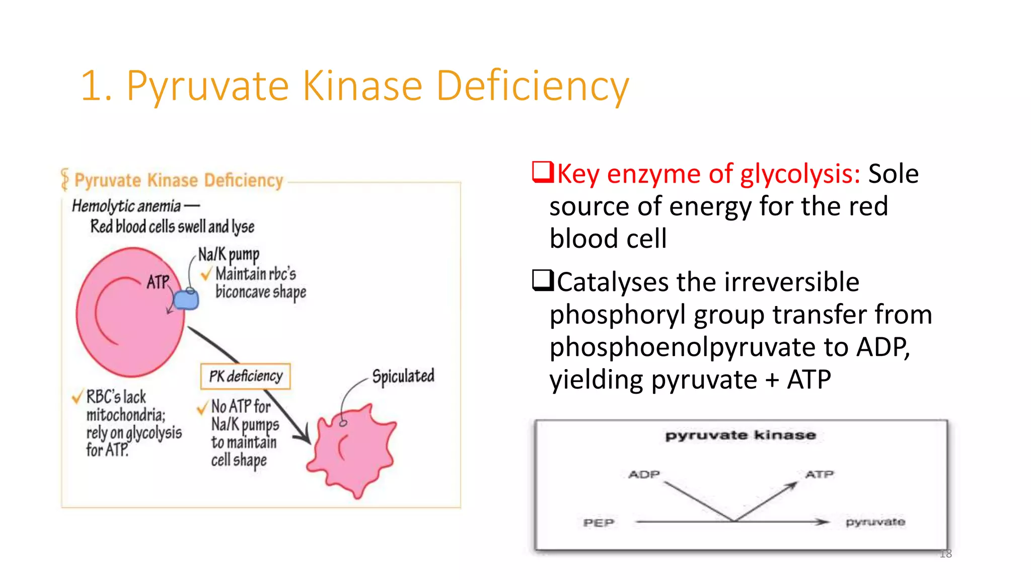Metabolism of RBC and RBC Enzymopathies | PPTX