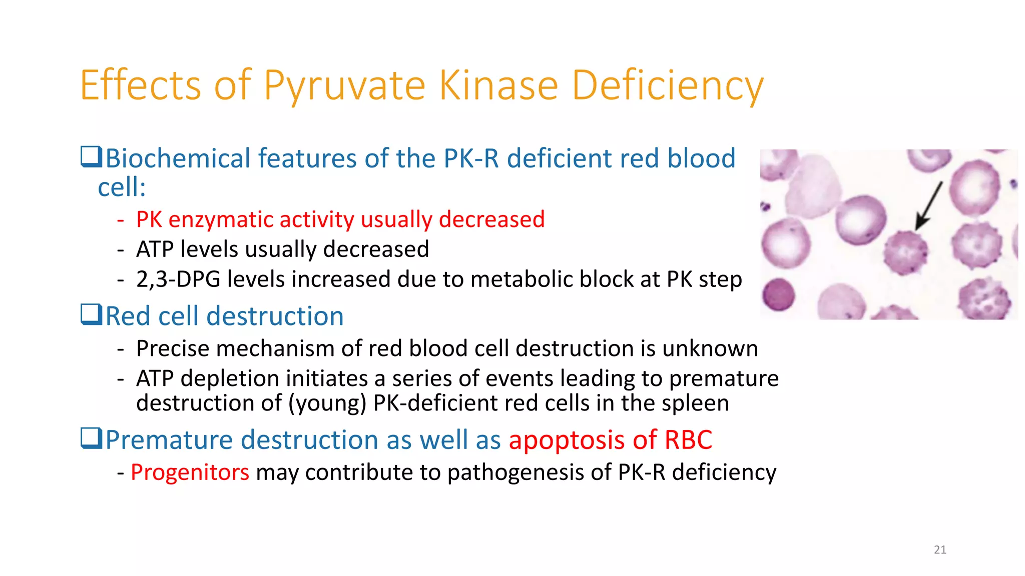 Metabolism of RBC and RBC Enzymopathies | PPTX