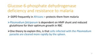 Metabolism of RBC and RBC Enzymopathies | PPTX