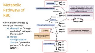 Metabolism of RBC and RBC Enzymopathies | PPTX | Blood Disorders ...
