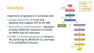 Metabolism of RBC and RBC Enzymopathies | PPTX