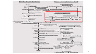Metabolism of RBC and RBC Enzymopathies | PPTX