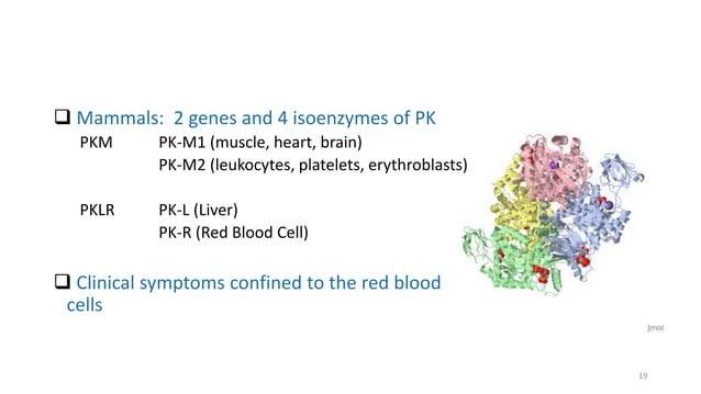 Rare Rbc Enzyme Disorders : Red Blood Cell Enzyme Disorders – JYZXLK