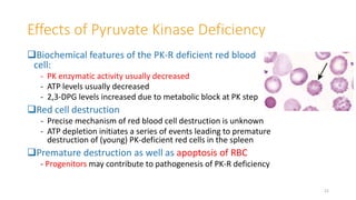 Metabolism of RBC and RBC Enzymopathies | PPT