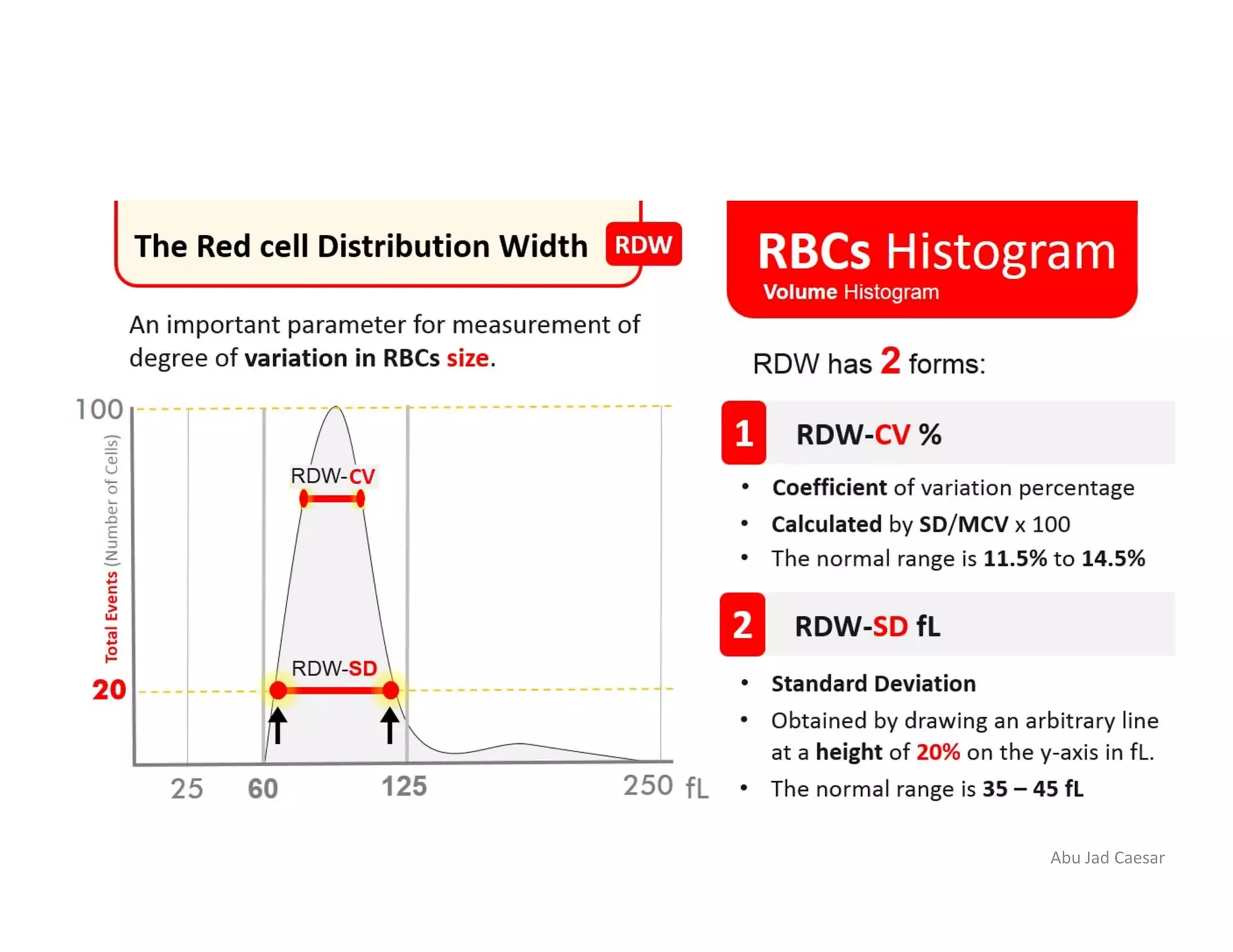 RBC Histogram | PDF