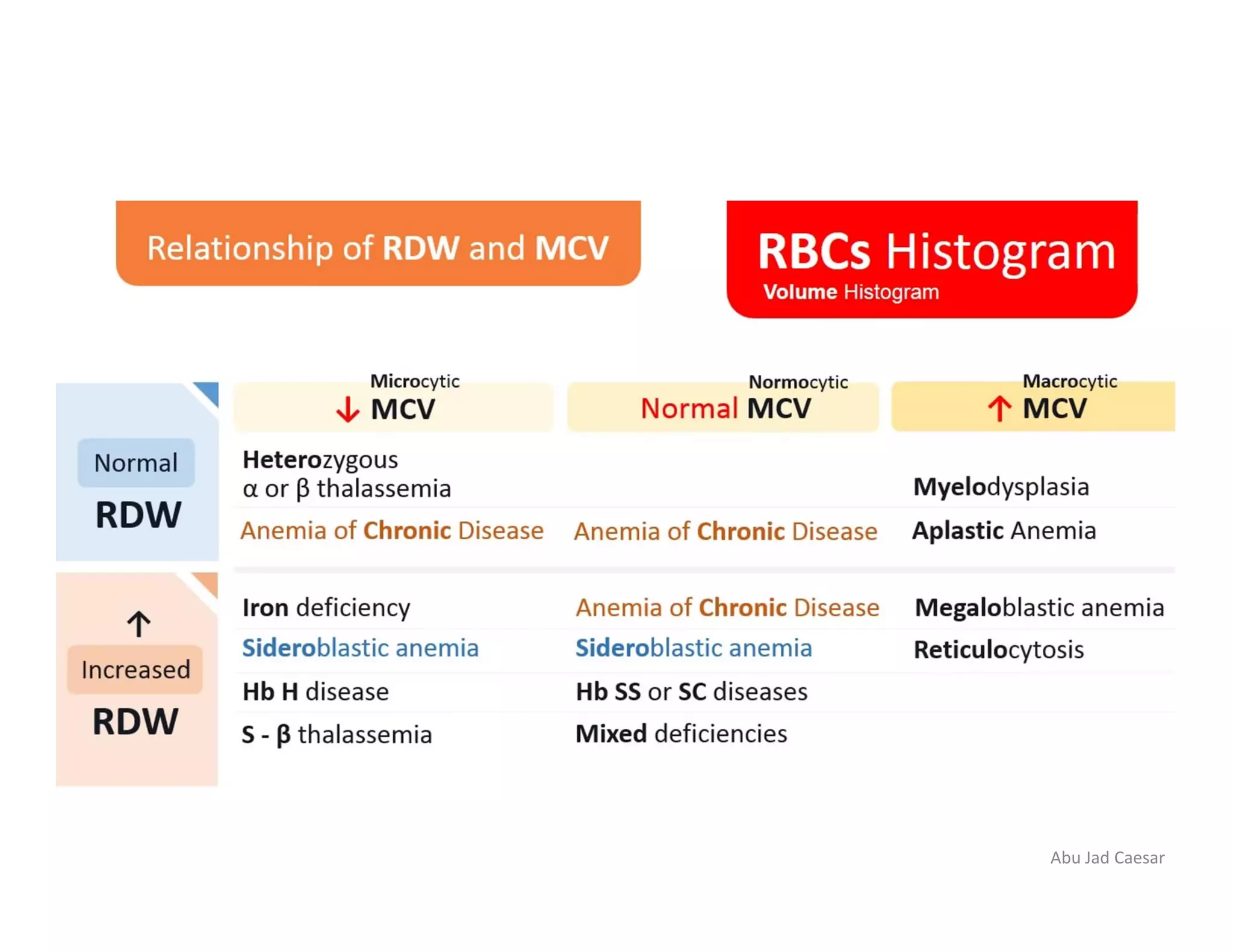 RBC Histogram | PDF