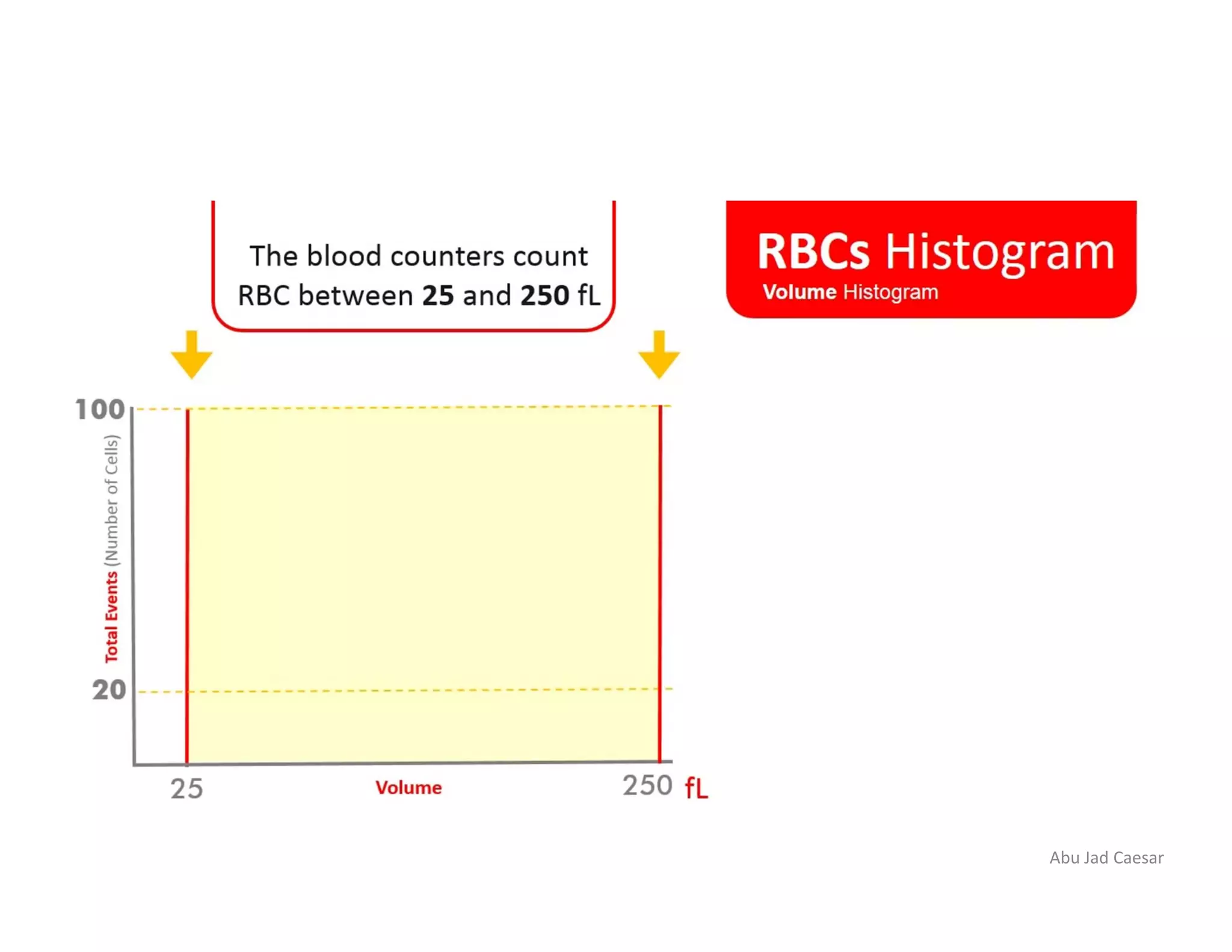 RBC Histogram | PDF