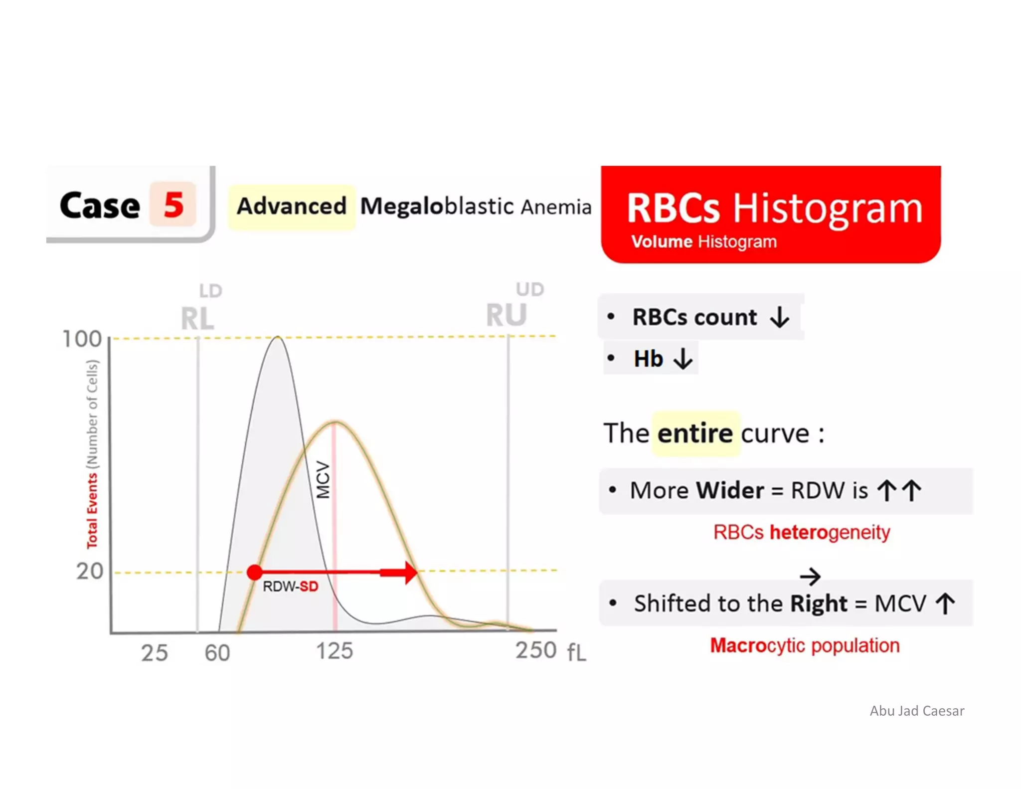 RBC Histogram | PDF