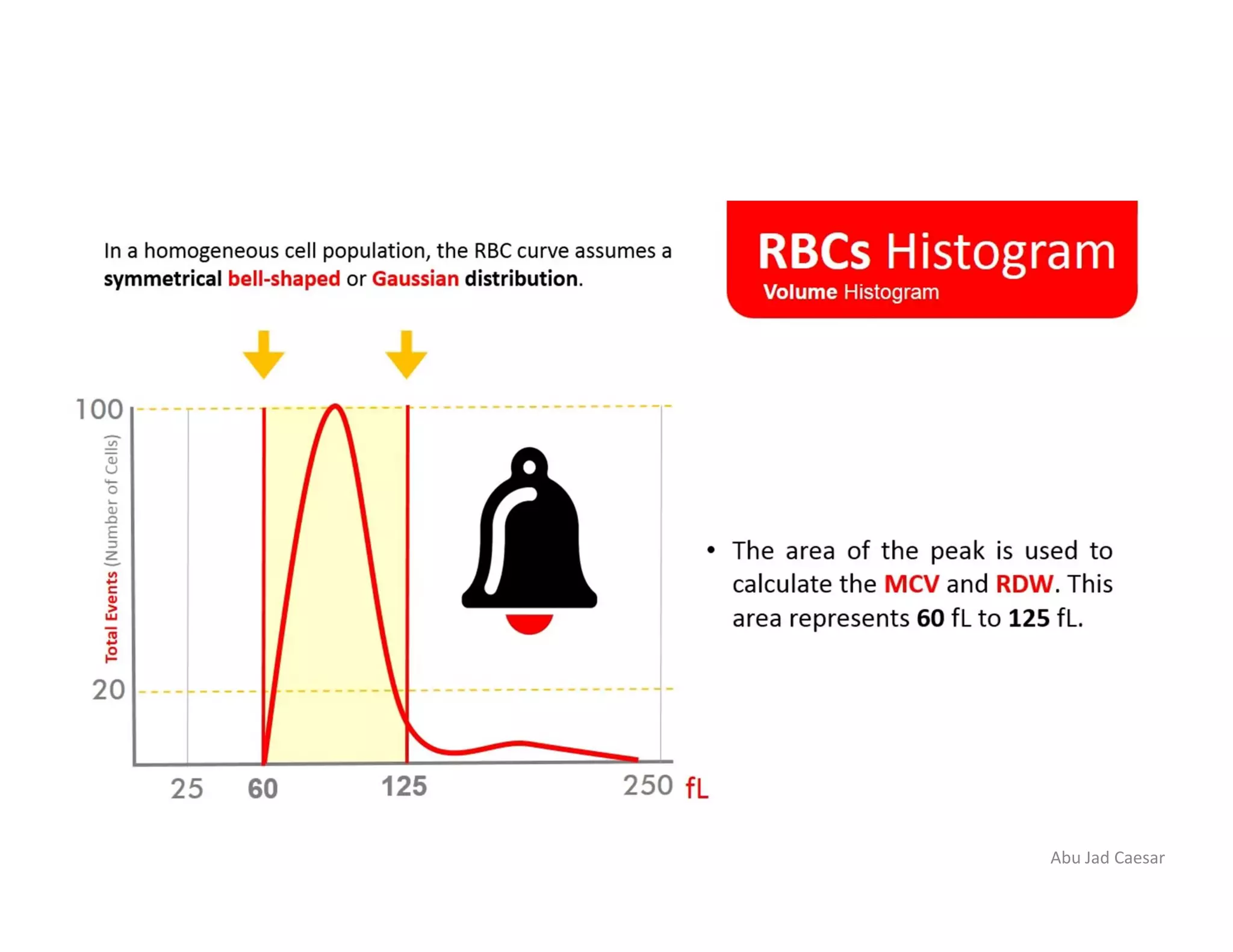 Rbc Histogram Pdf