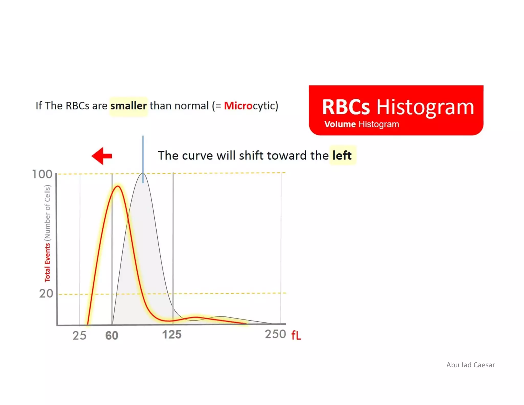 RBC Histogram | PDF