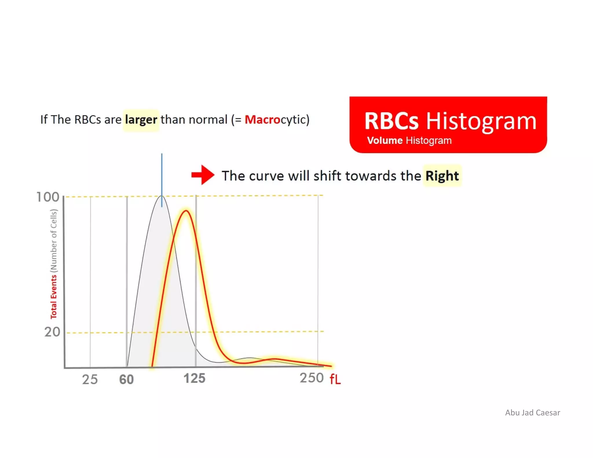 RBC Histogram | PDF