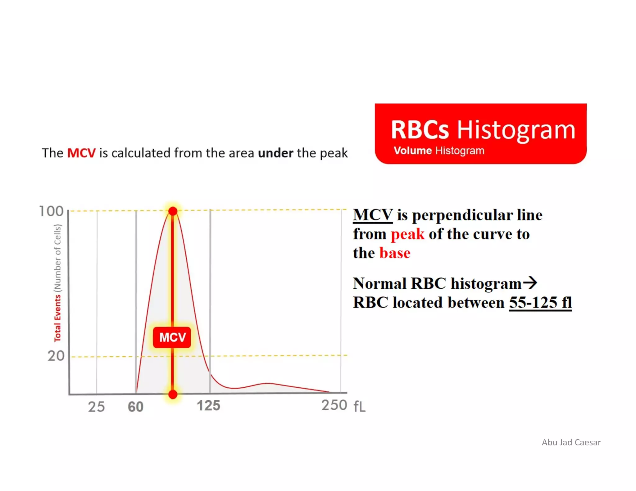 RBC Histogram | PDF