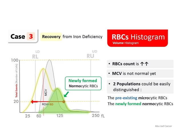 RBC Histogram | PDF