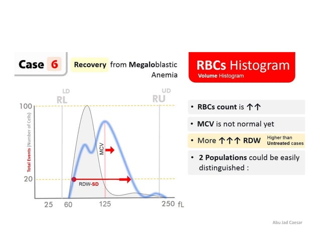 RBC Histogram | PDF