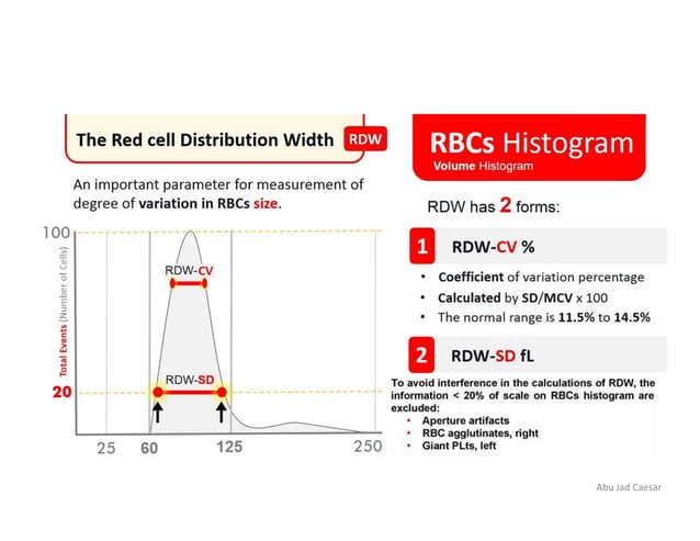 RBC Histogram | PPT