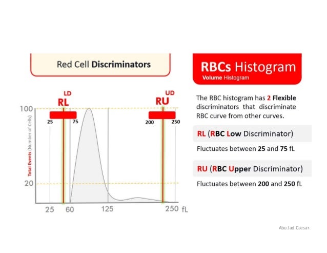 RBC Histogram