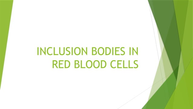 RBC inclusion bodies. pptx | PPTX | Blood Disorders | Diseases and ...