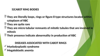 RBC inclusion bodies. pptx | PPTX