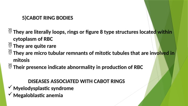 RBC inclusion bodies. pptx | PPTX | Blood Disorders | Diseases and ...