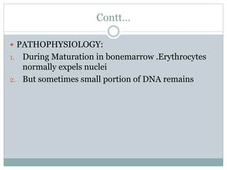 Rbc inclusion ())))) | PPTX