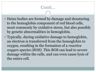 Rbc inclusion ())))) | PPTX