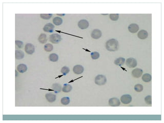 Rbc inclusion ())))) | PPTX