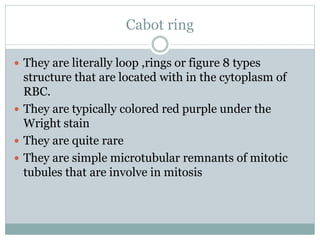 Rbc inclusion ())))) | PPTX