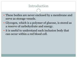 Rbc inclusion ())))) | PPTX