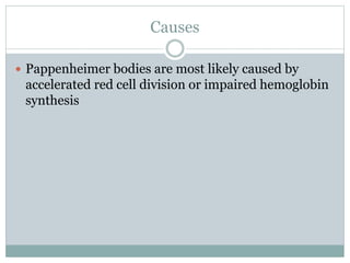 Rbc inclusion ())))) | PPTX