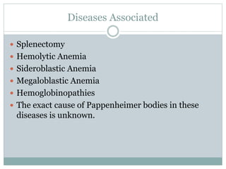 Rbc inclusion ())))) | PPTX